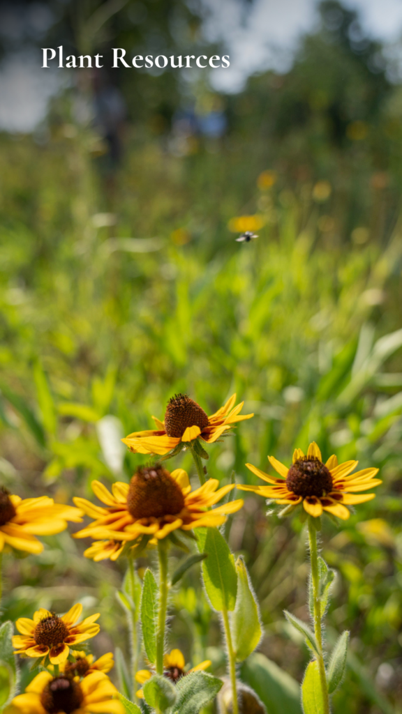 Resources - Virginia Working Landscapes