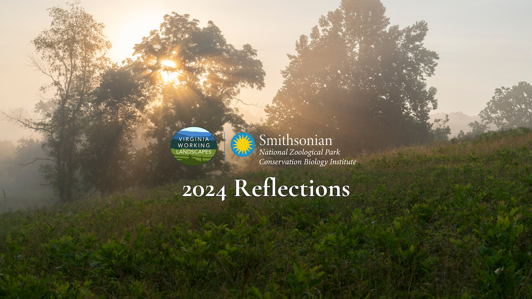 2024 Reflections - Virginia Working Landscapes