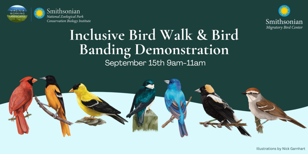 Inclusive Bird Walk and Bird Banding Demonstration - Virginia Working ...