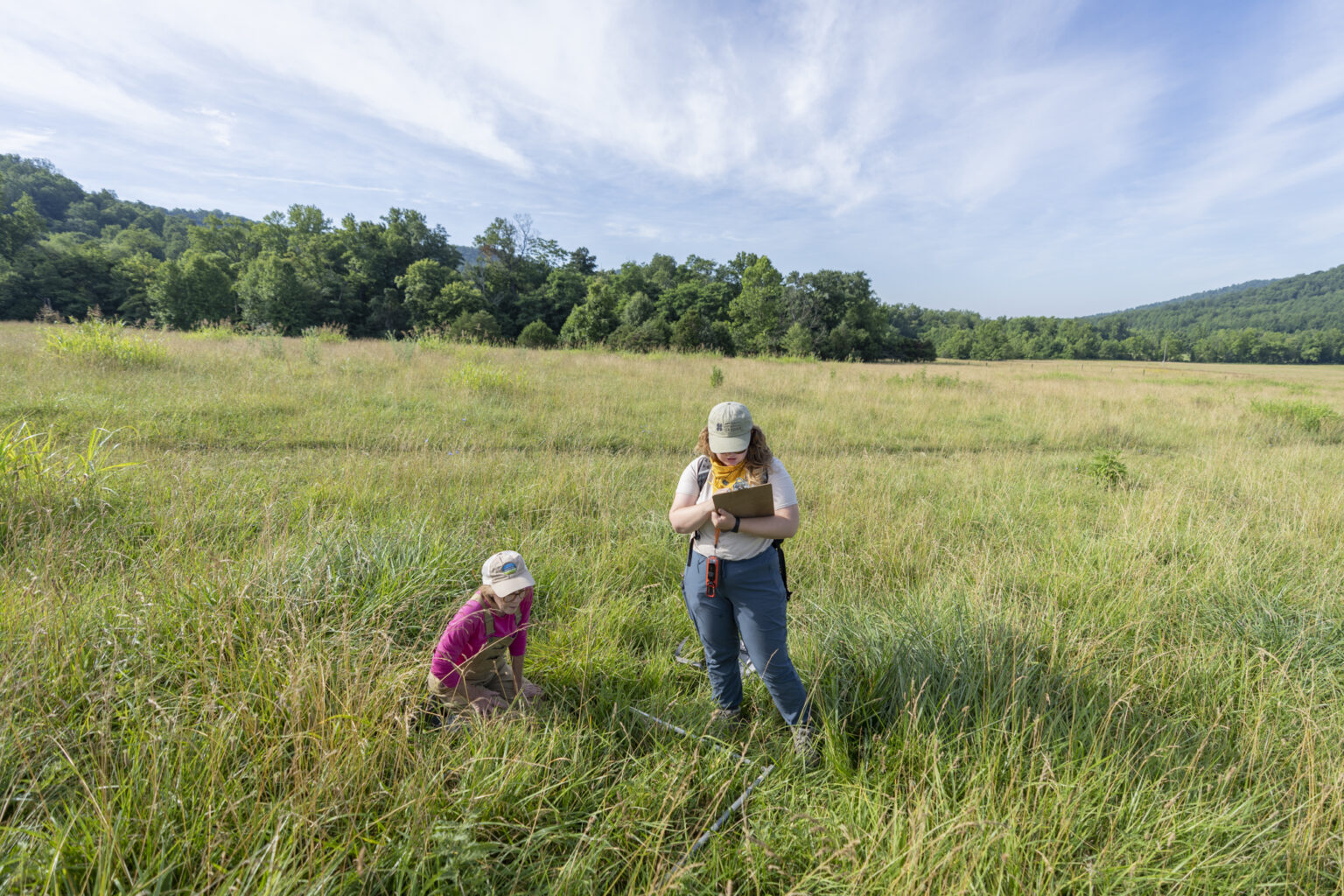 About VWL - Virginia Working Landscapes