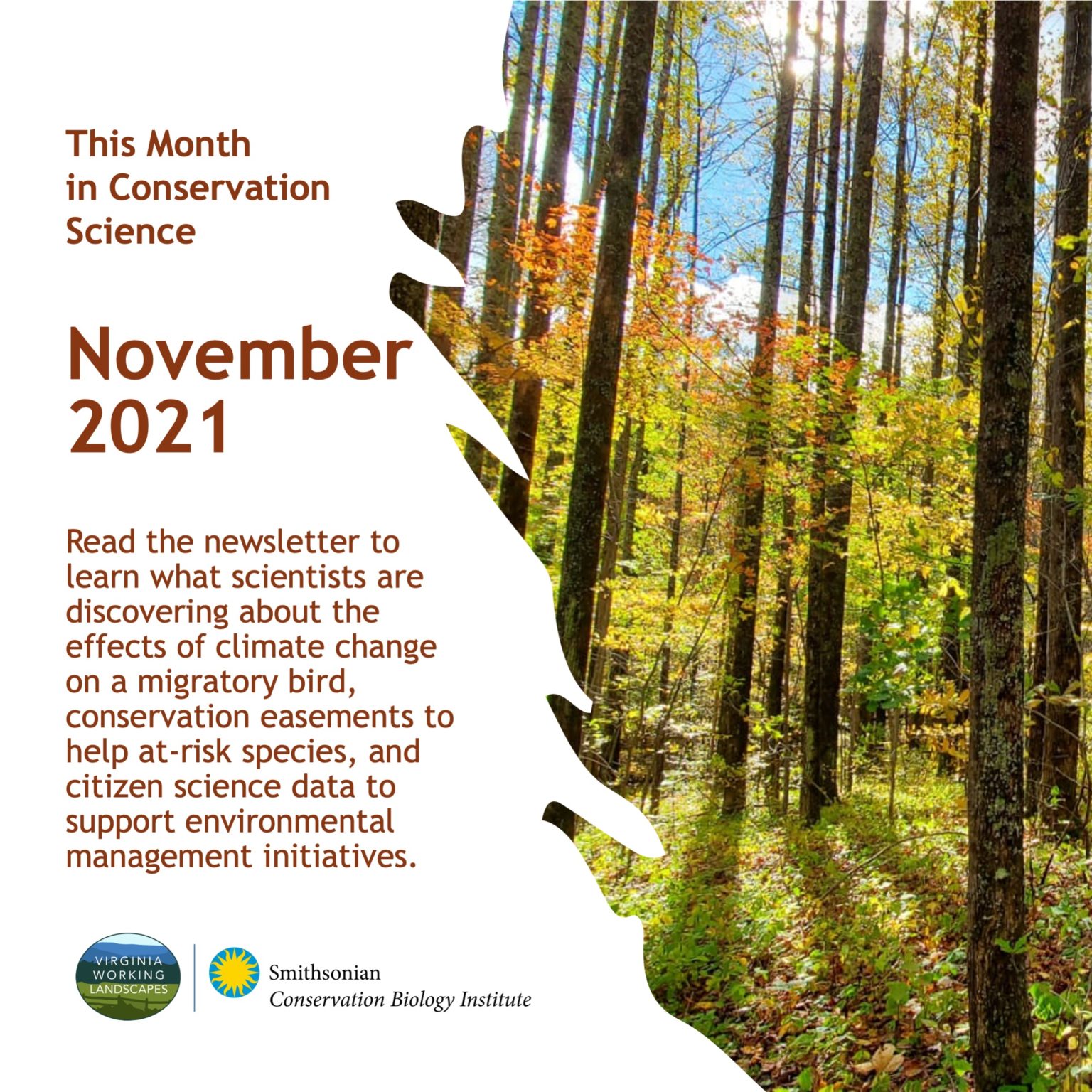This Month in Conservation Science | November 2021 - Virginia Working ...