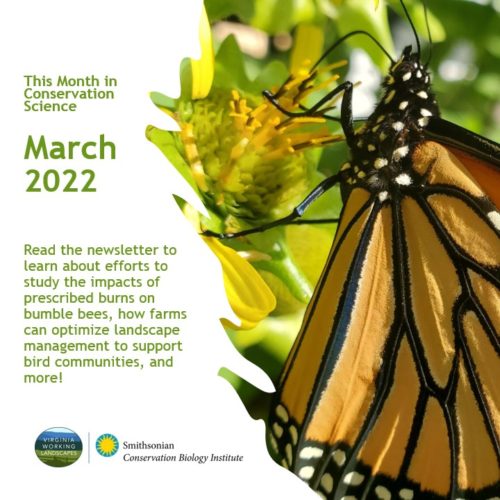 This Month in Conservation Science | March 2022 - Virginia Working ...