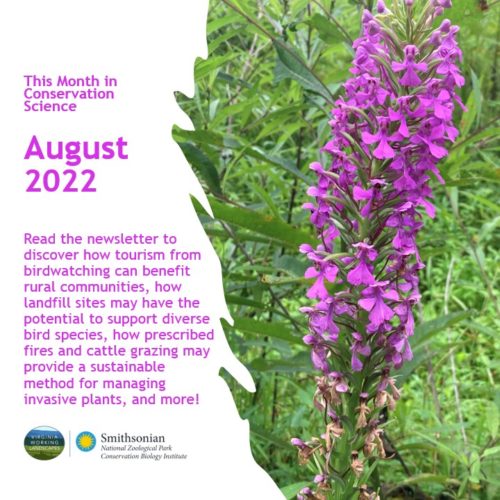 This Month in Conservation Science | August 2022 - Virginia Working ...