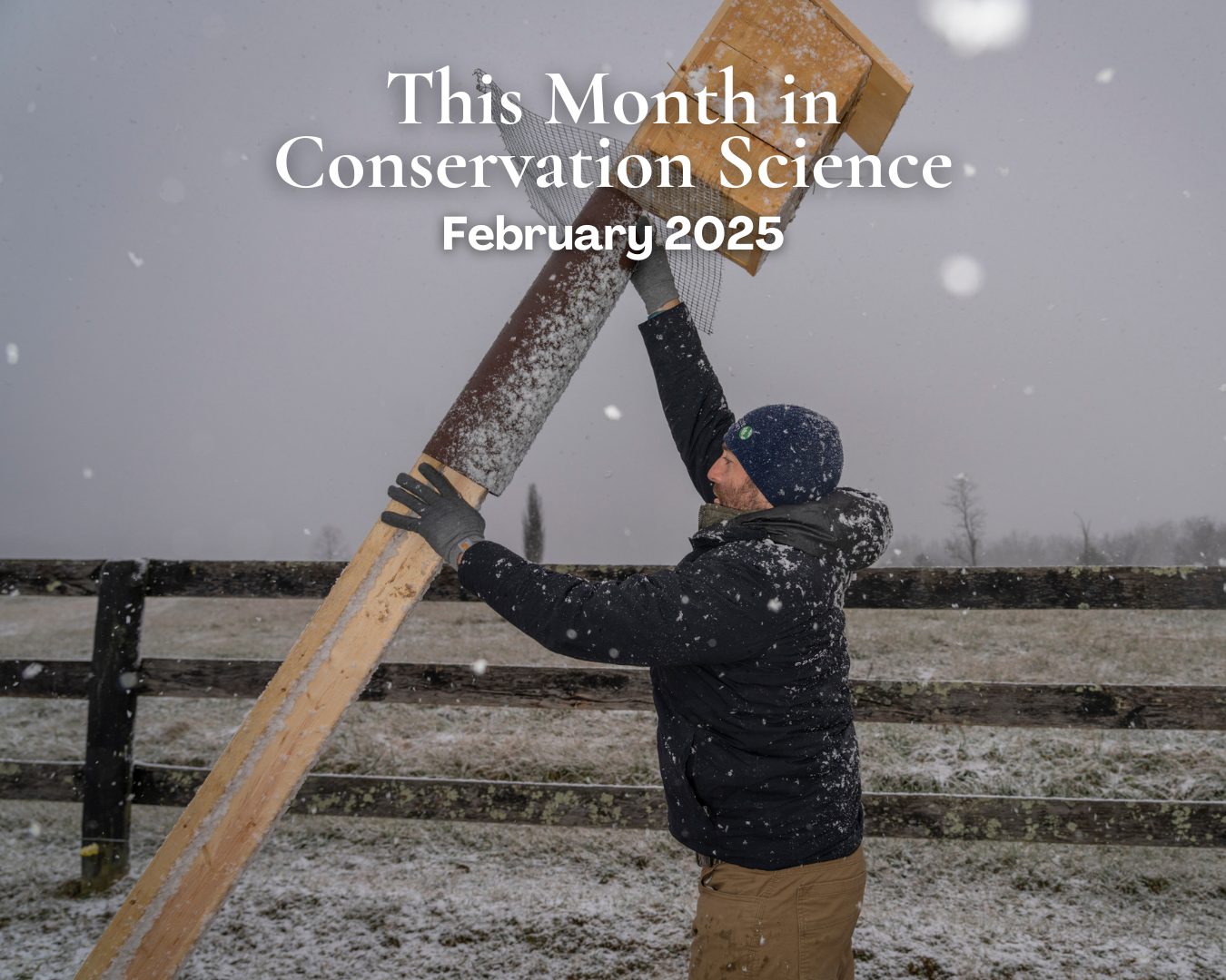 This Month in Conservation Science | February 2025 - Virginia Working ...