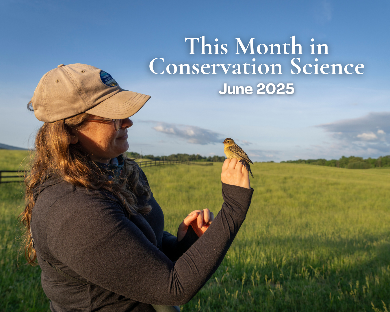 This Month in Conservation Science | June 2025 - Virginia Working ...