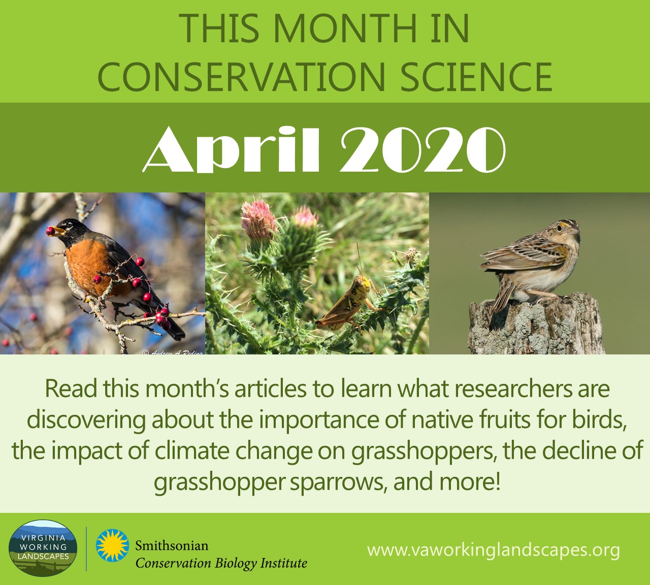 This Month in Conservation Science | April 2020 - Virginia Working ...
