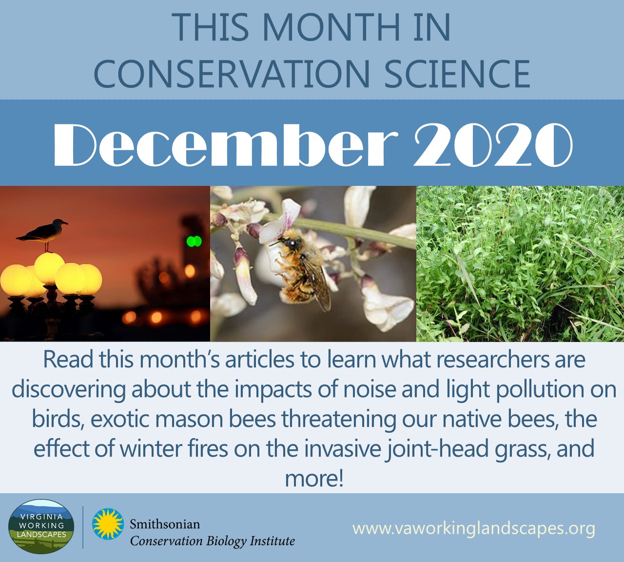 This Month in Conservation Science | December 2020 - Virginia Working ...