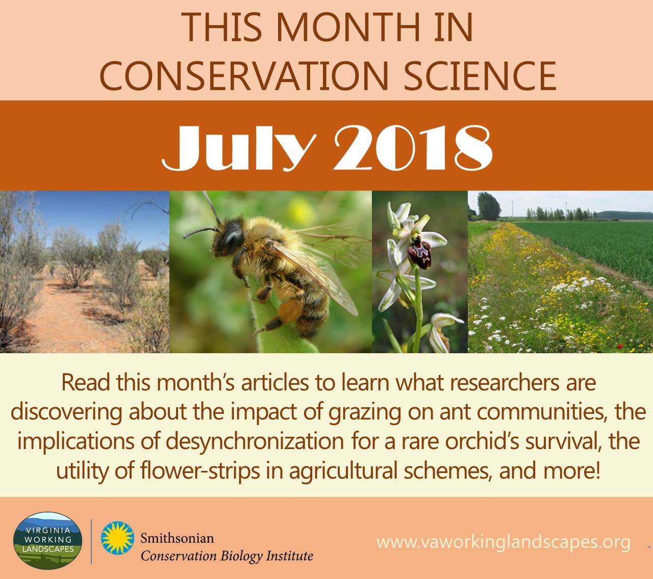 This Month in Conservation Science | July 2018 - Virginia Working ...