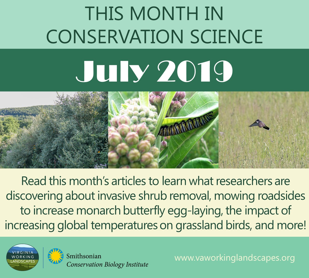 This Month in Conservation Science | July 2019 - Virginia Working ...