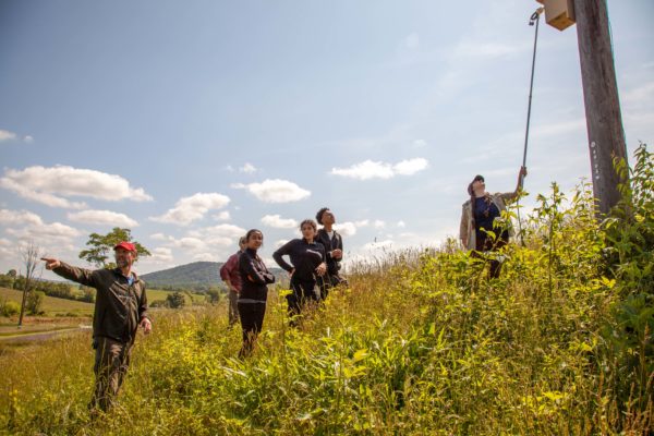 VWL Article Release: When A Farm Becomes a Classroom..." - Virginia ...