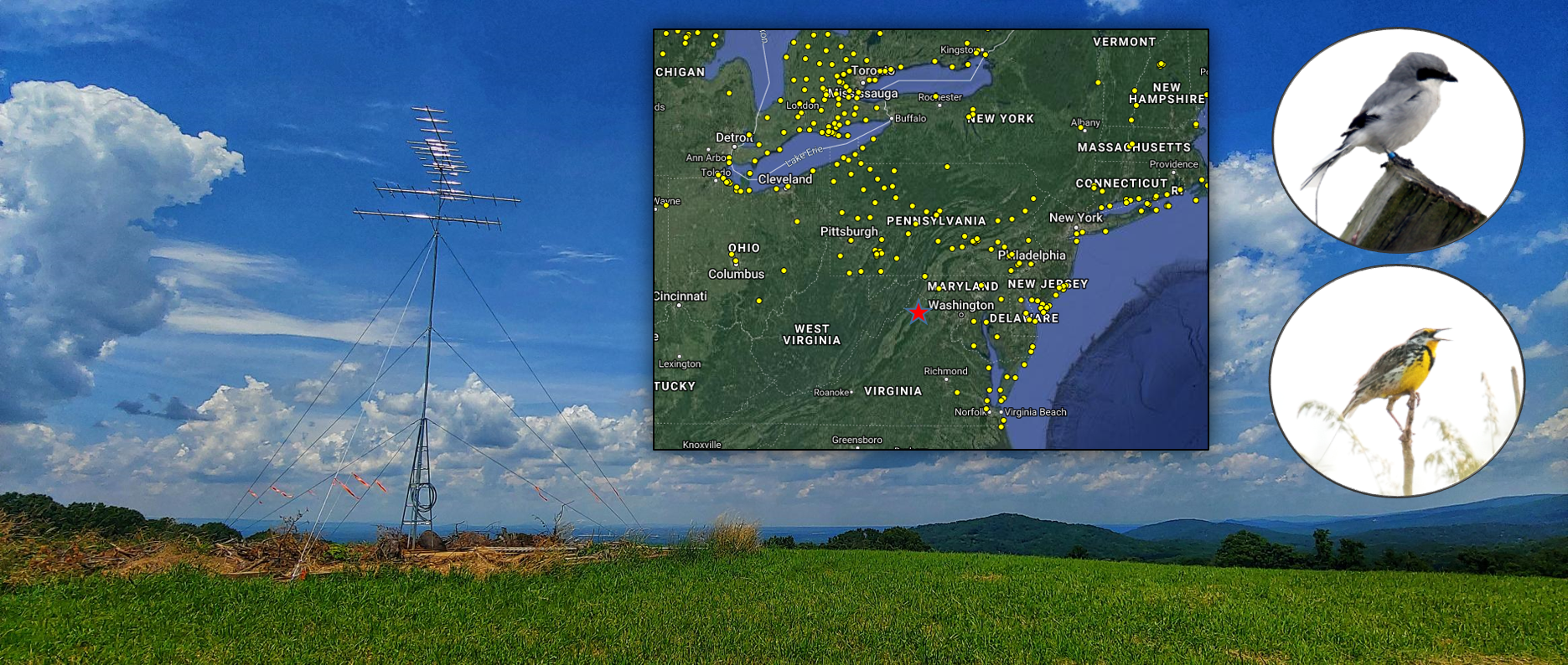 Motus Wildlife Tracking - Virginia Working Landscapes